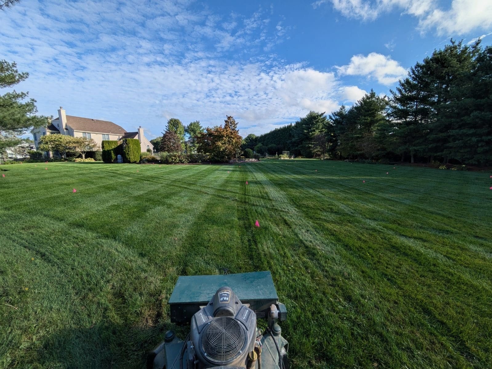 Fall Lawn Care Tips: Prepare Your Lawn for a Healthy Spring