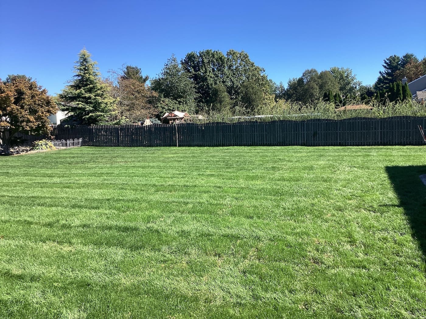 Partner with the Best in Middletown, NJ Lawn Care Services Team